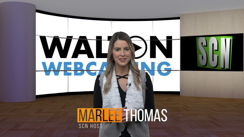 Stock Center - Walton Webcasting - Livestock like you've never seen before