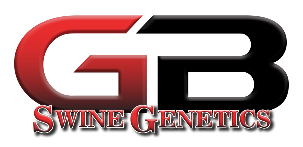 Archives - Walton Webcasting - Livestock like you've never seen before