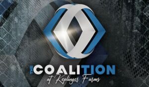 Home - Walton Webcasting - Livestock like you've never seen before