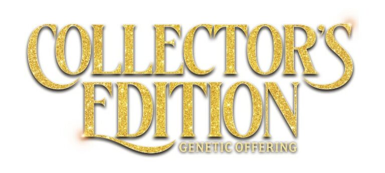 Home - Walton Webcasting - Livestock like you've never seen before