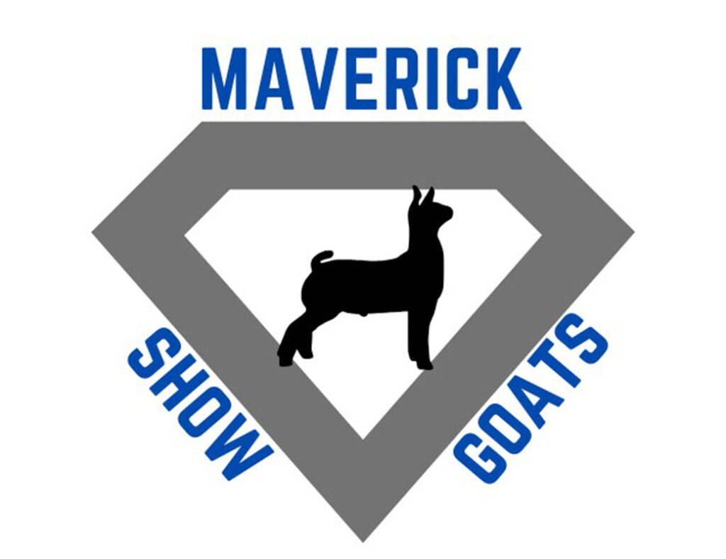 Archives - Walton Webcasting - Livestock like you've never seen before