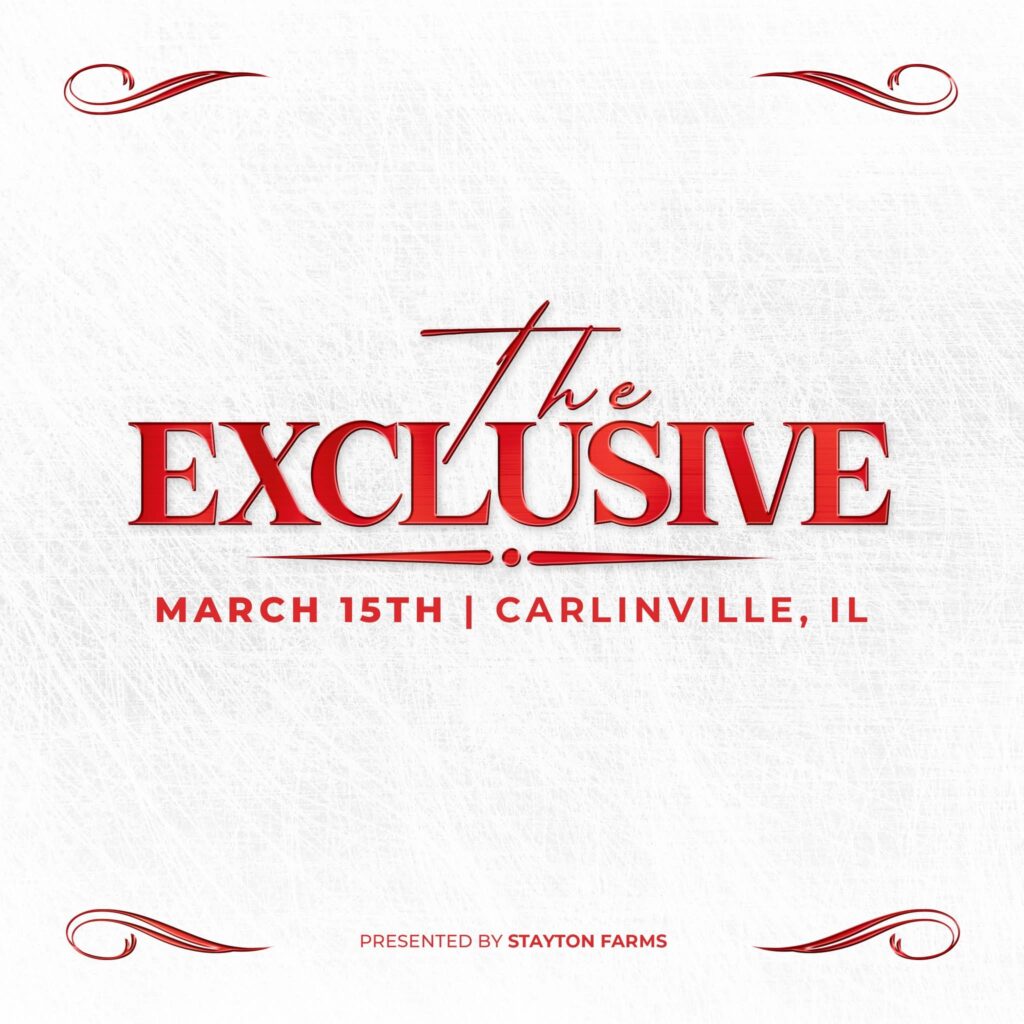 Archives - Walton Webcasting - Livestock like you've never seen before