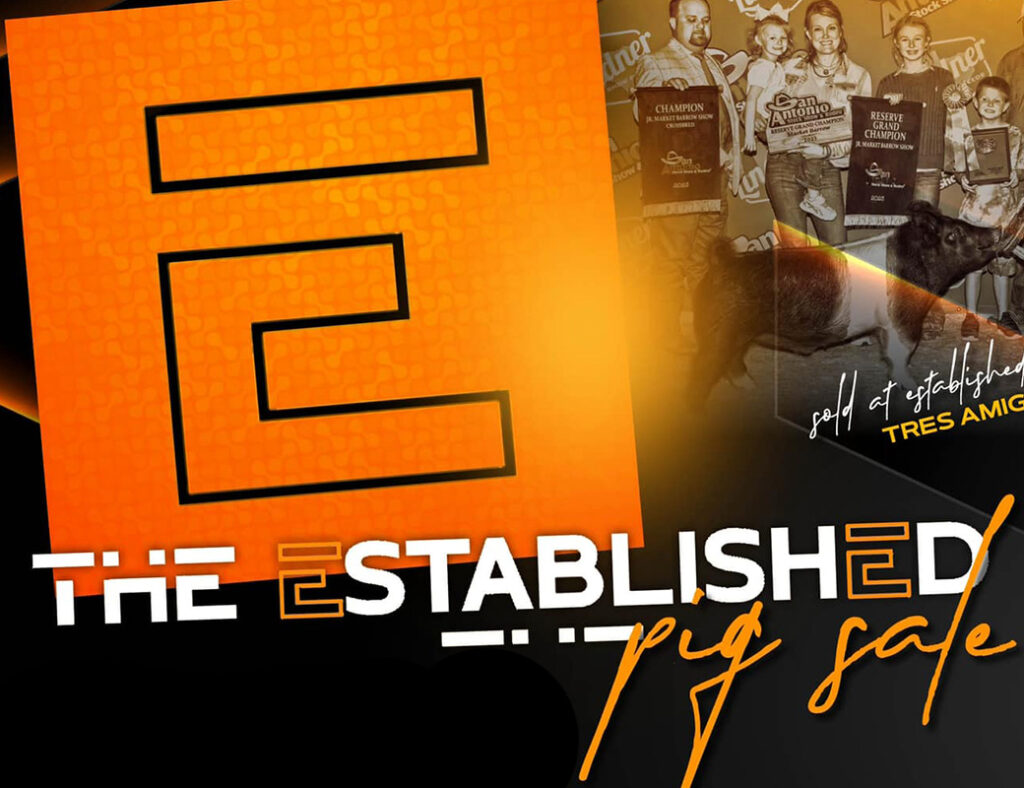 Upcoming Events - Walton Webcasting - Livestock like you've never seen ...